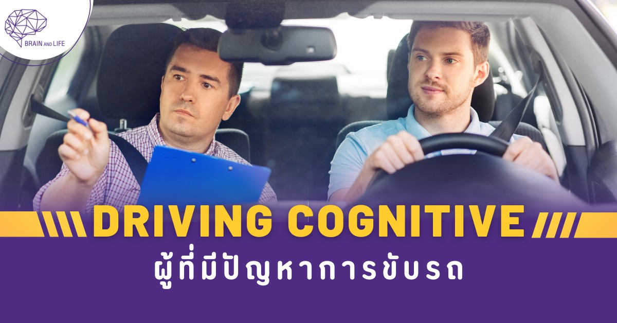 Brain Training Driving Visual Perception ทักษะการขับรถ