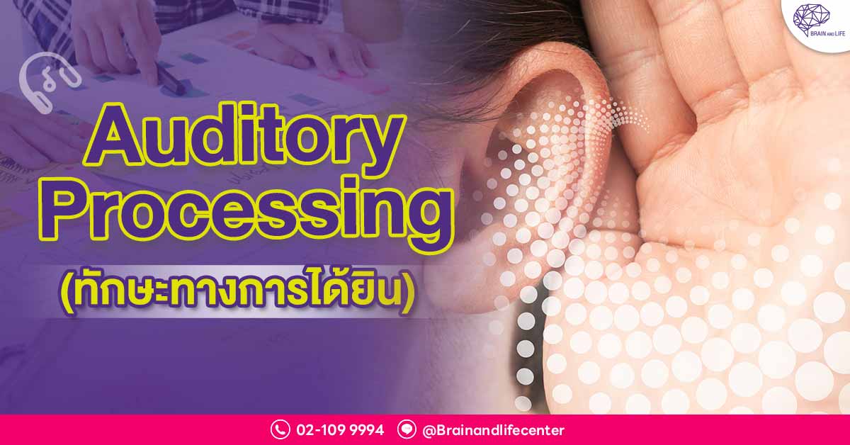 Auditory Processing การได้ยิน Perception Listening การอ่าน
